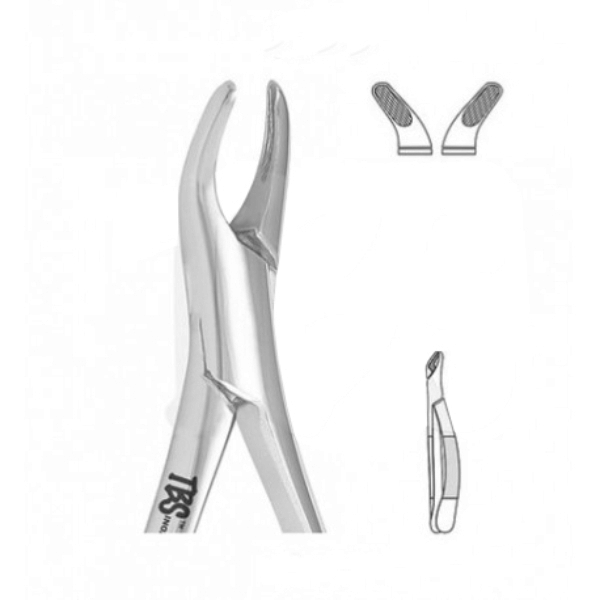 Forceps 62 de extracción para incisivos, premolares y dientes de leche ...
