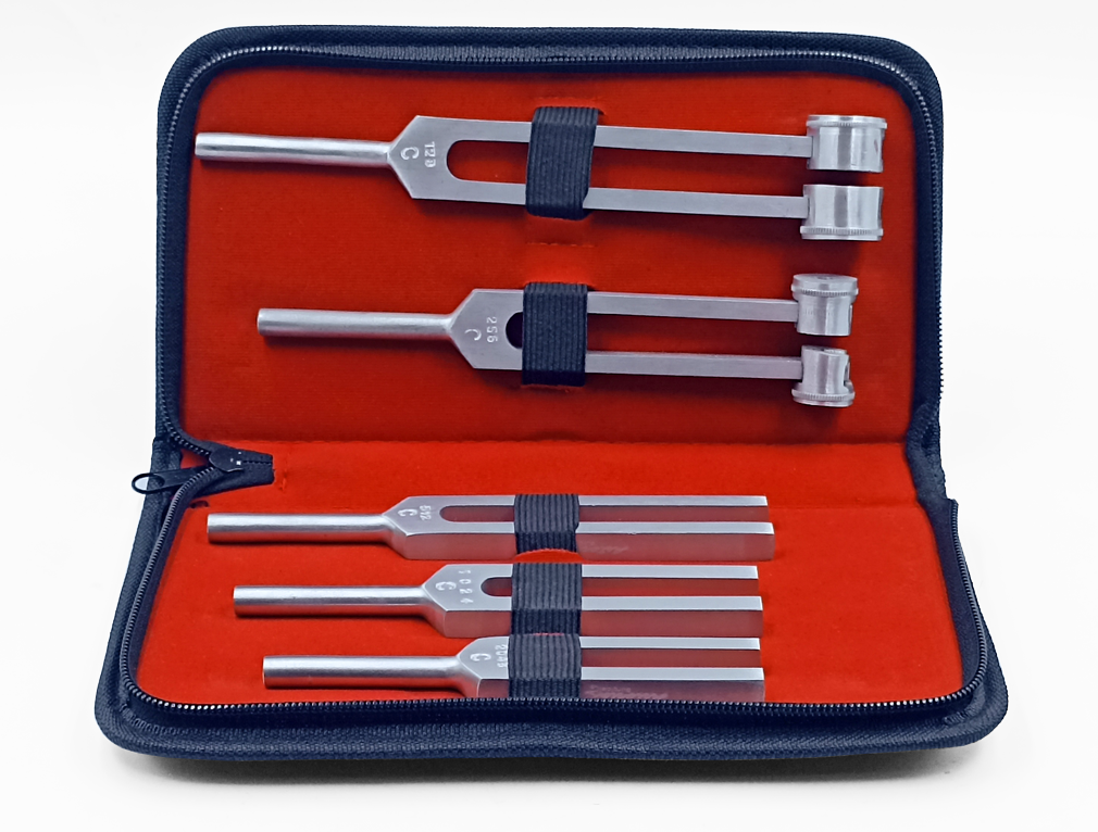 Set de diapasones 5 piezas con estuche de piel en LALEO