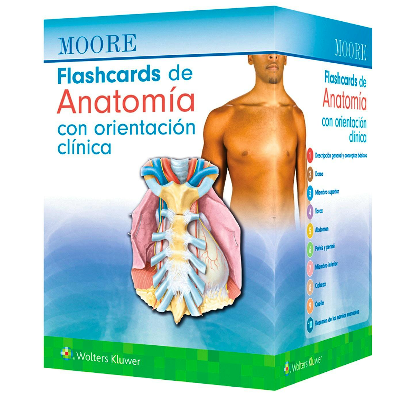 MOORE. Flashcards de Anatomía con Orientación Clínica en LALEO