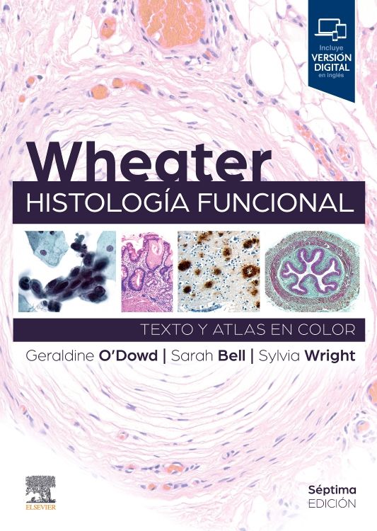 Wheater. Histología Funcional en LALEO