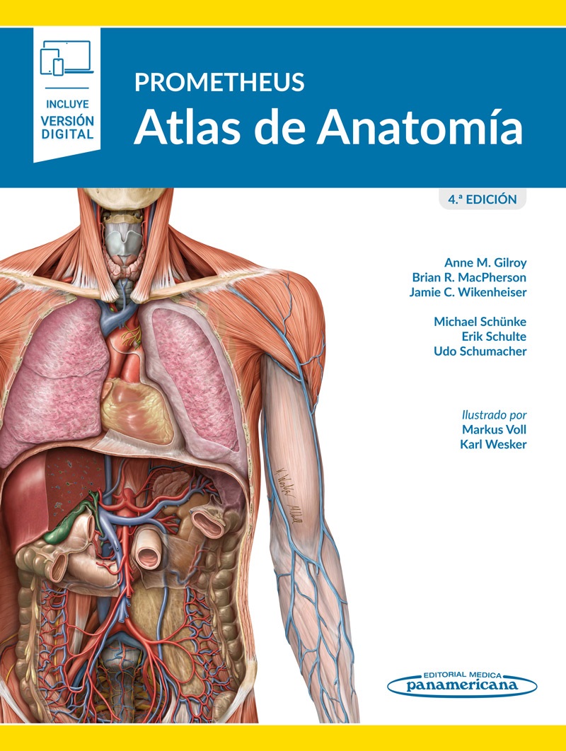 Prometheus. Atlas de Anatomía en LALEO