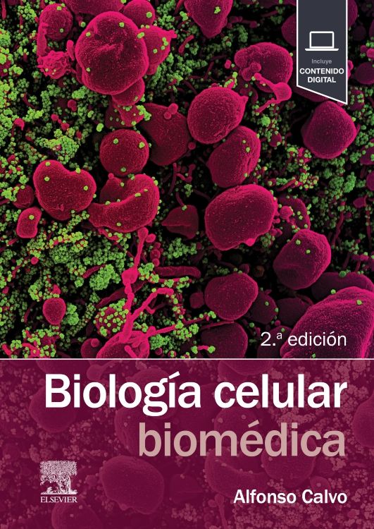 Biología Celular Biomédica en LALEO