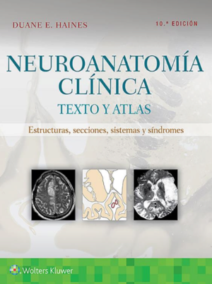 Snell. Neuroanatomía clínica en LALEO