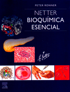 Resultado para netter en LALEO