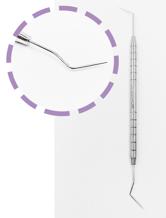 Explorador Dg 16 en LALEO