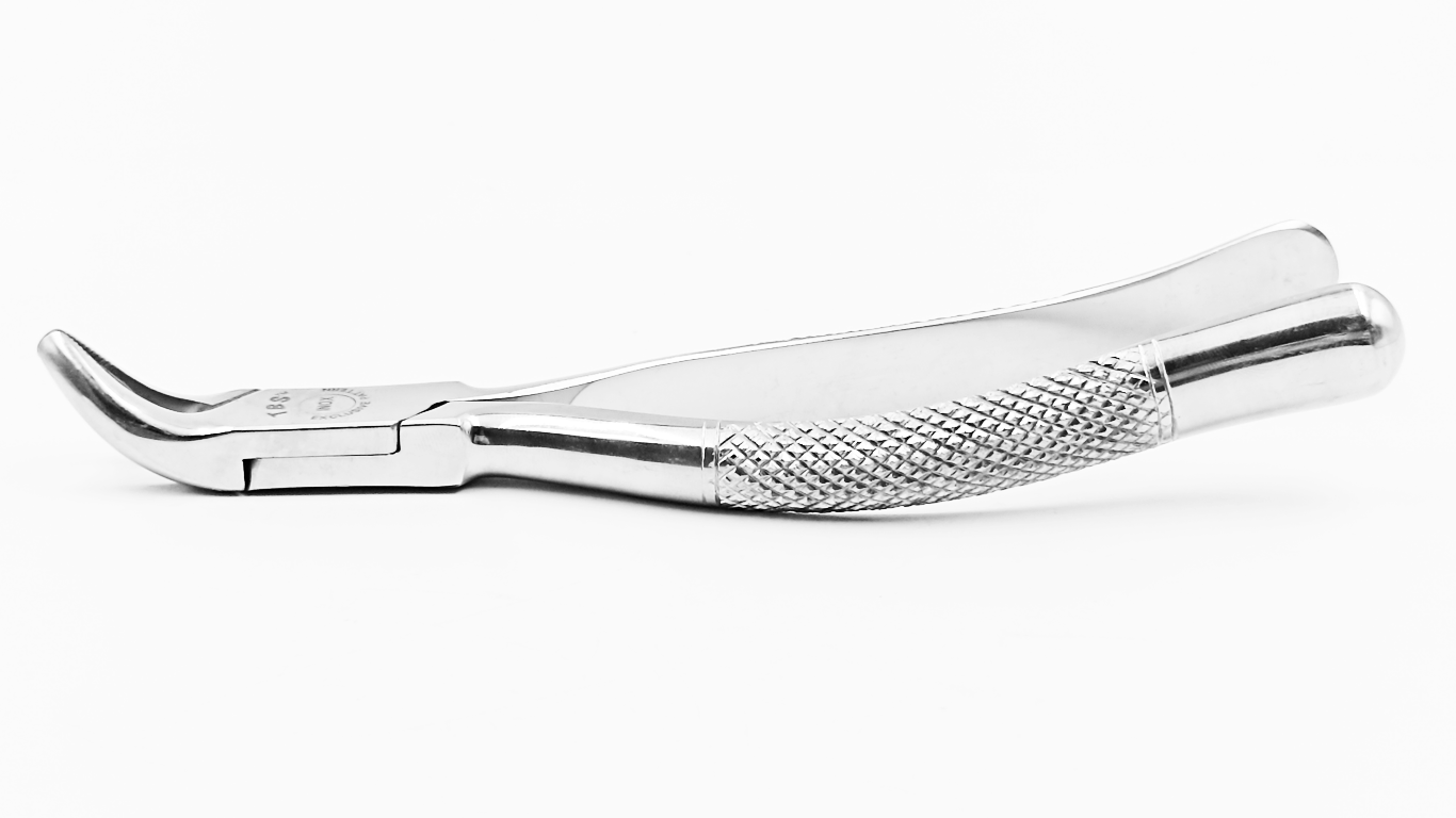 Forceps 151 de extracción para incisivos, premolares y raíces ...