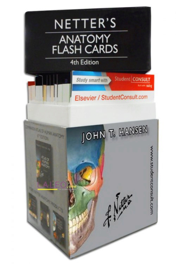Netter. Anatomy Flash Cards en LALEO