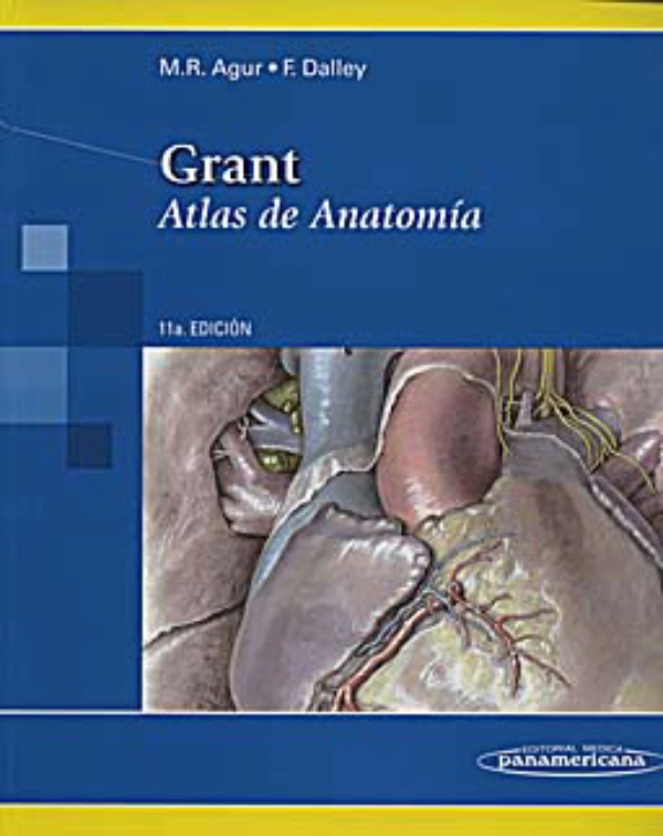 Grant atlas de anatomía en LALEO