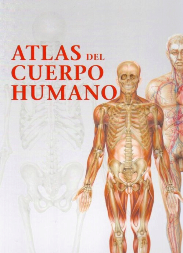 Atlas del cuerpo humano en LALEO