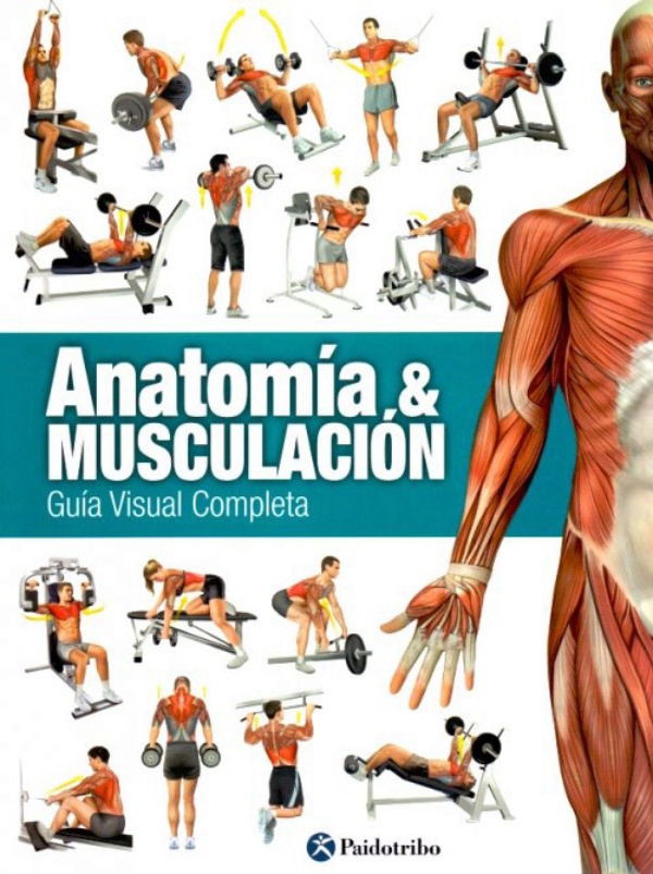 Musculacion Gym