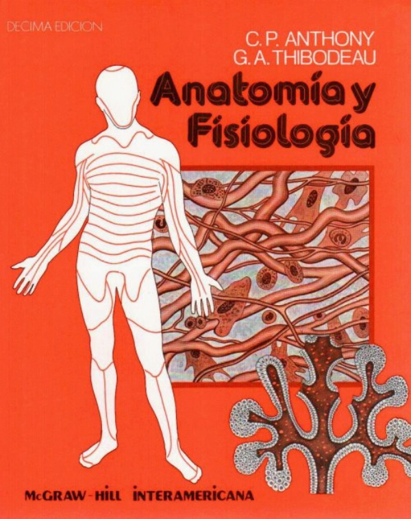 Anatomía y Fisiología,El cuerpo como un todo,Sostén y movimiento Comunicación, en LALEO