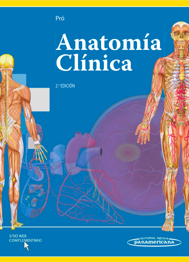 Pro. Anatomía Clínica en LALEO