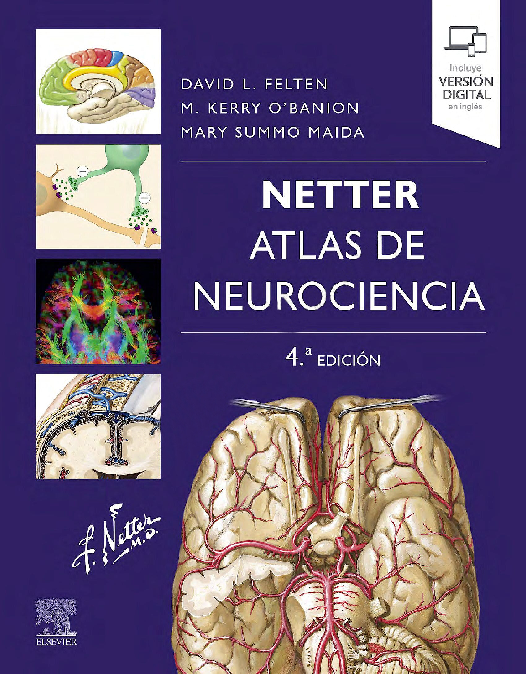 NETTER Atlas de Neurociencia en LALEO