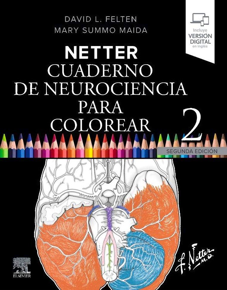 Netter Cuaderno De Neurociencia Para Colorear En Laleo