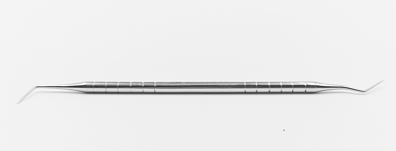 Explorador DG 16 en LALEO