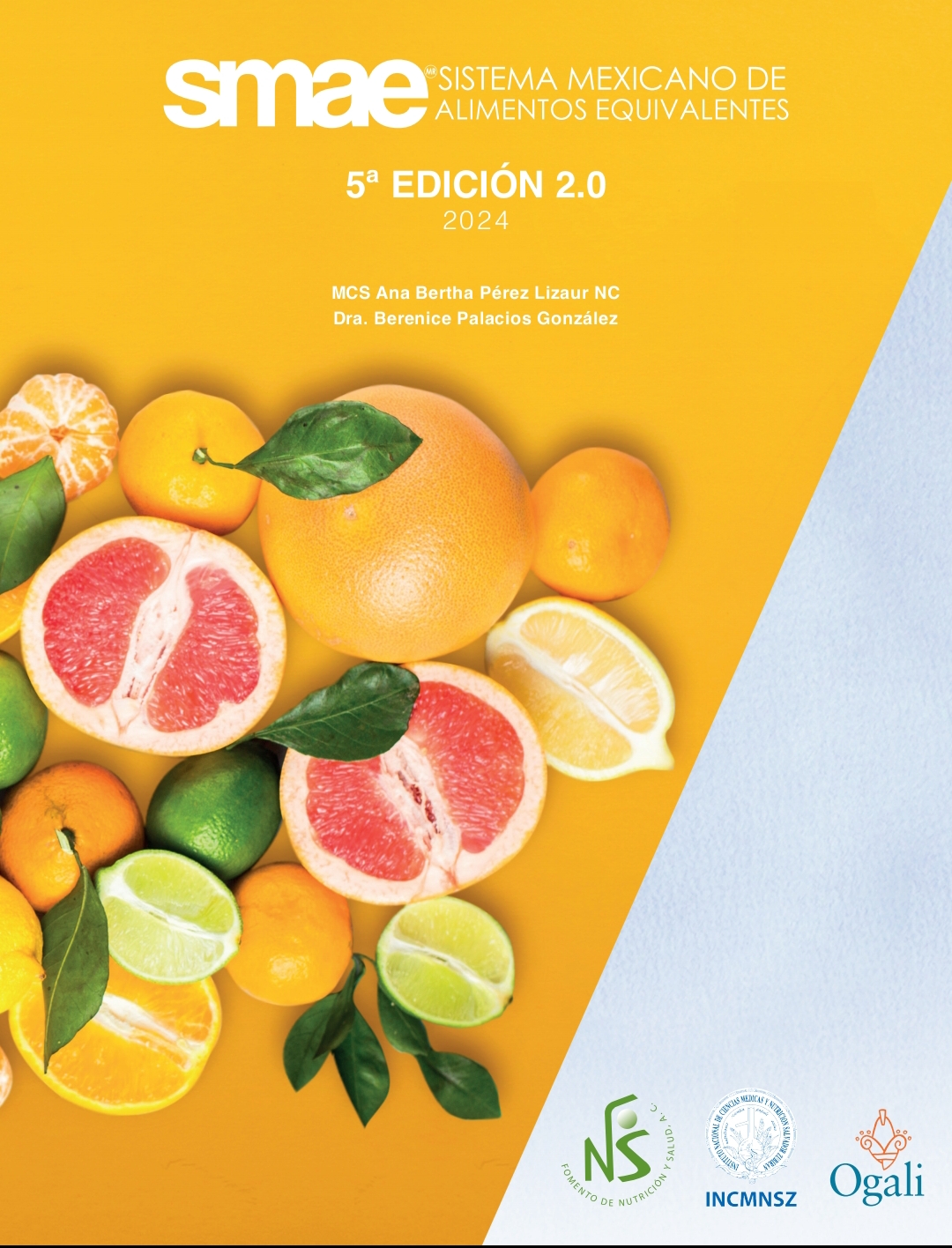 SMAE: Sistema mexicano de alimentos equivalentes en LALEO