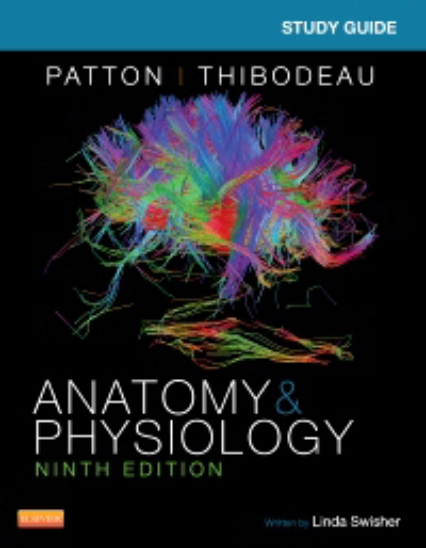 Study Guide For Anatomy Physiology ebook 