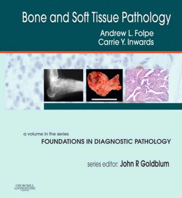 Bone and Soft Tissue Pathology (ebook) en LALEO