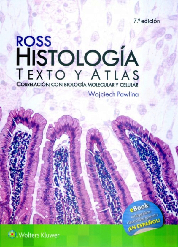 Ross. Histología en LALEO