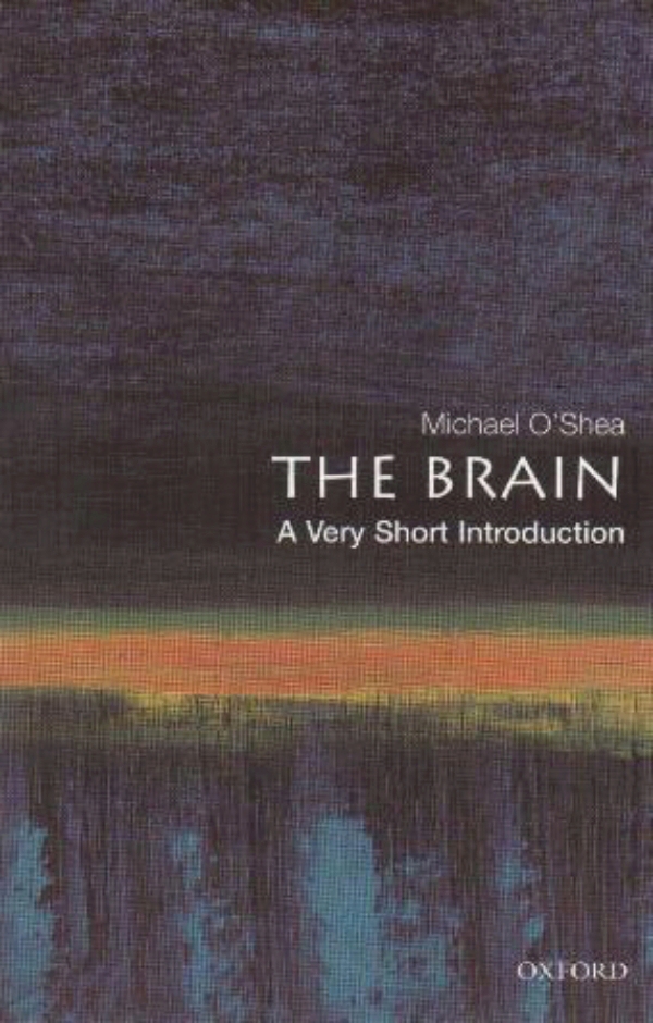The Brain: A Very Short Introduction en LALEO