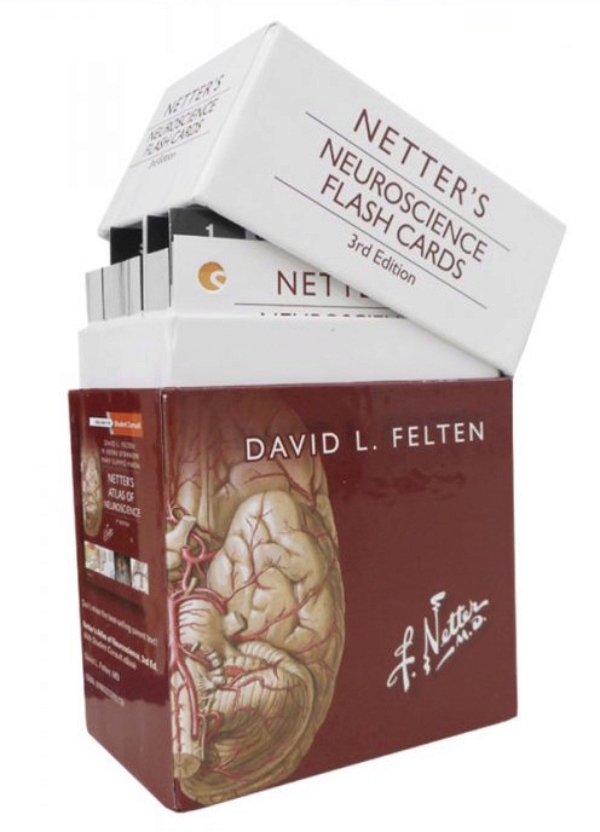 Netter. Neuroscience Flash Cards en LALEO