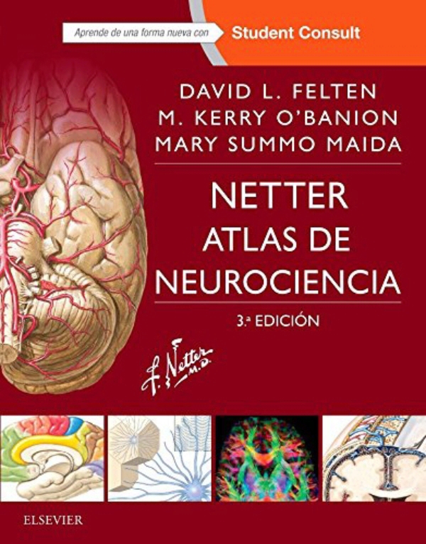 Netter. Atlas de neurociencia en LALEO