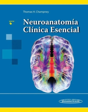 Snell. Neuroanatomía clínica en LALEO