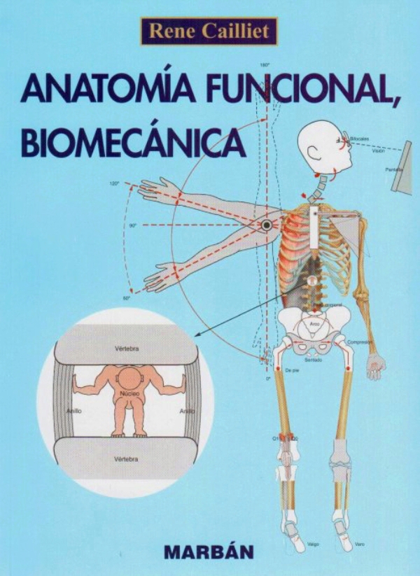 Anatomía Funcional Humana Anatomía Funcional Del Estómago Humano,