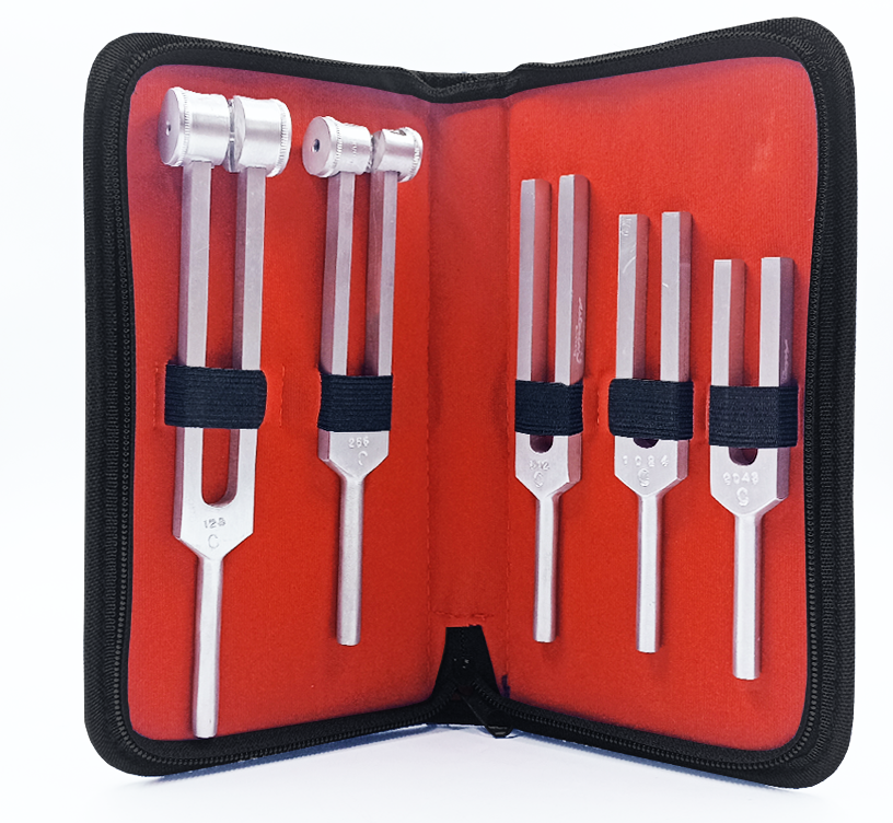 Set de diapasones 5 piezas con estuche de piel en LALEO