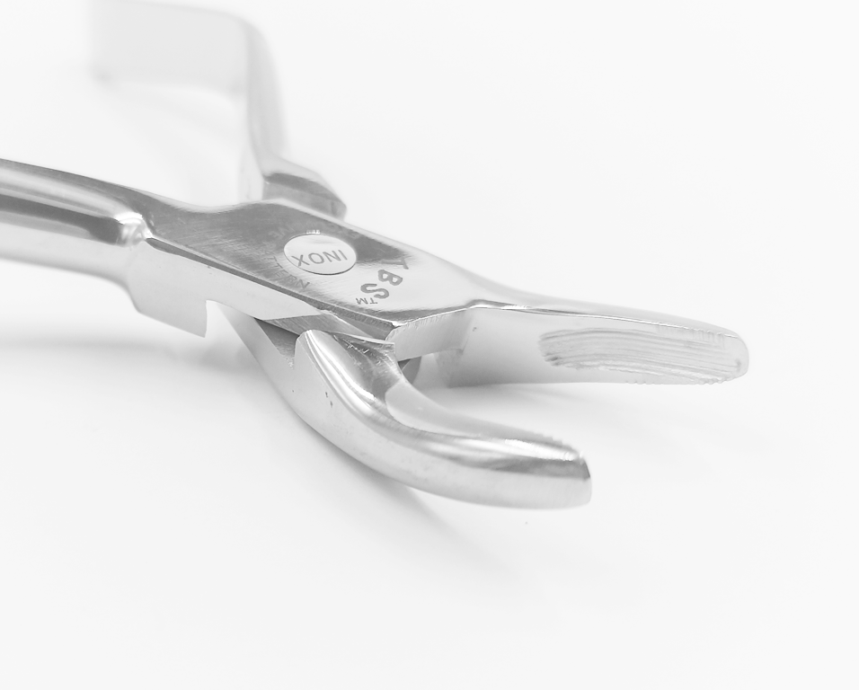 Forceps 62 de Extracción 04-009 en LALEO