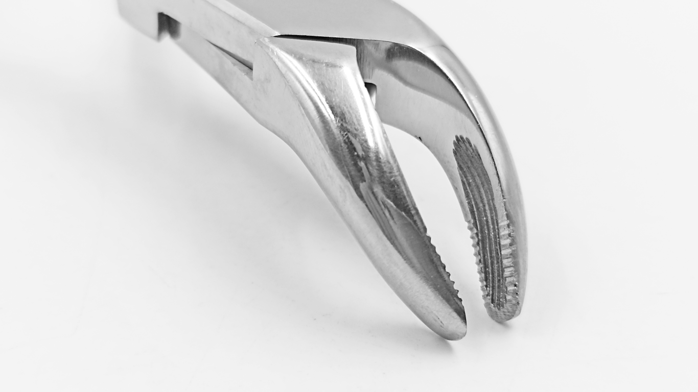 Forceps 151 de extracción para incisivos, premolares y raíces ...