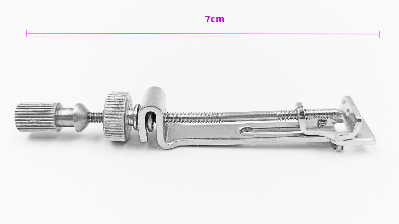 Porta Matriz Ivory en LALEO